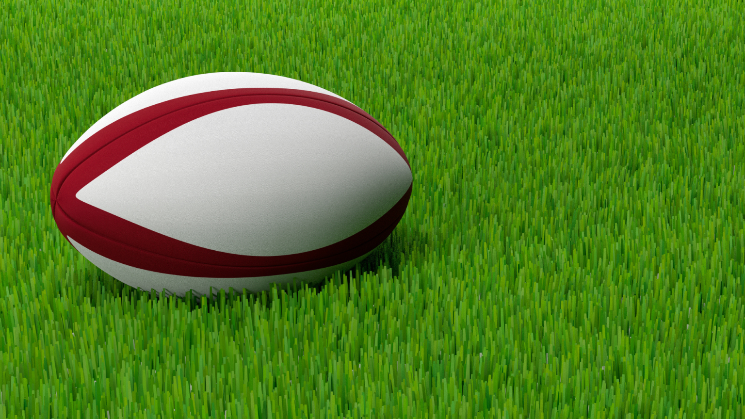 Custom-Branded Rugby Balls | Promotional Items